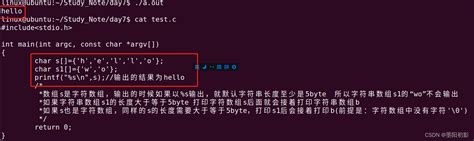 关于C语言中字符数组和字符串的输出 printf打印字符数组 CSDN博客