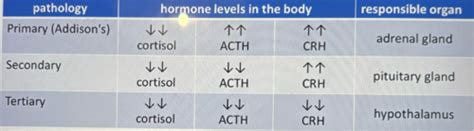 Hormonal Function And Dysfunction Flashcards Quizlet