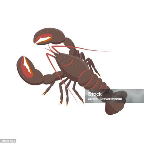 흰색 배경에 격리 된 평면 디자인의 랍스터 벡터 그림입니다 갈고리 발톱에 대한 스톡 벡터 아트 및 기타 이미지 갈고리 발톱