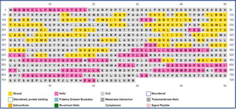 The Secondary Structures Of The Predicted Marburg Virus Vaccine Using