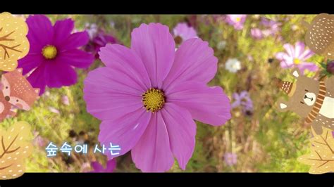 예쁜 가을아 안녕 Youtube