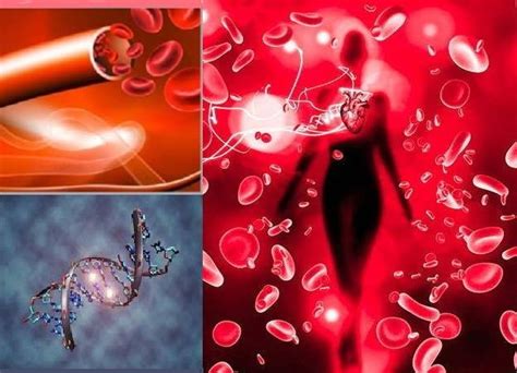 უძველესი ტიბეტური რეცეპტი რომელსაც ორგანიზმიდან გამოჰყავს მავნე მარილები წმენდს სისხლს