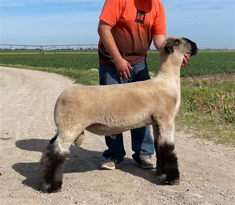 Geek Squad Reproduction Specialty Group