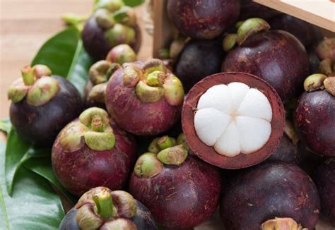 새상품무배 첫사랑망고스틴 열대과일 고당도 건강 헬로마켓