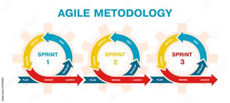 Stockvektorbilden Agile Project Management Development Methodology Infographic Agile Software
