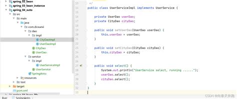 Spring项目自动装配and集合注入spring支不支持集合类型自动注入 Csdn博客