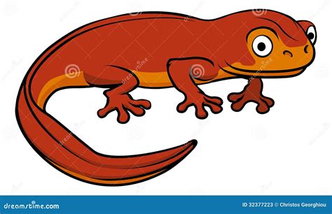 Cartoon Newt And Green Plants Vector Illustration CartoonDealer Com