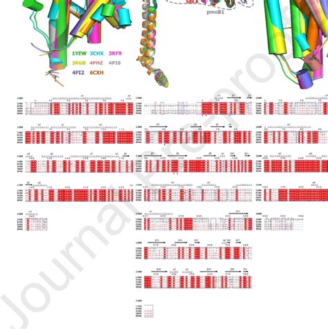 Cartoon Representation Of The Structural Alignment And Superposition Download Scientific