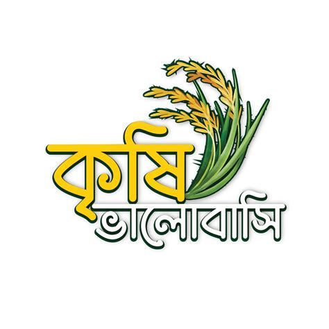 আসছে আমের মুকুল দেখতে দেখতেই চলে আসবে আবার এই সুমিষ্ট আম🥭 Agriculture চলুন কৃষি ভালোবাসি