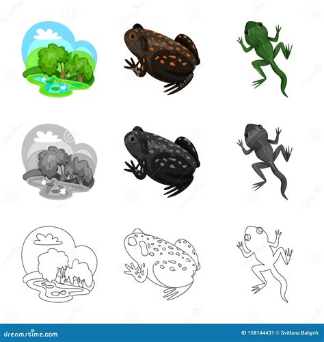 Isolated Object Of Wildlife And Bog Logo Set Of Wildlife And Reptile Stock Vector Illustration