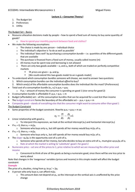 Eco2045 Intermediate Microeconomics 1 Lecture And Textbook Notes Warning Tt Undefined