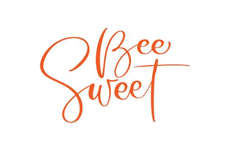 꿀벌 달콤한 서예 문자 아기 텍스트 벡터 손 글자 아이들은 흰색 배경에 고립 인용 로고 섬유 타이포그래피 포스터 인쇄용 컨셉 0