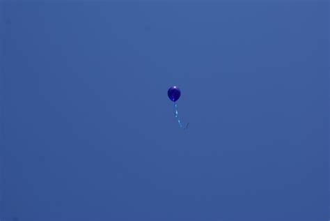 Balloondataset Object Detection Dataset And Pre Trained Model By Veribul