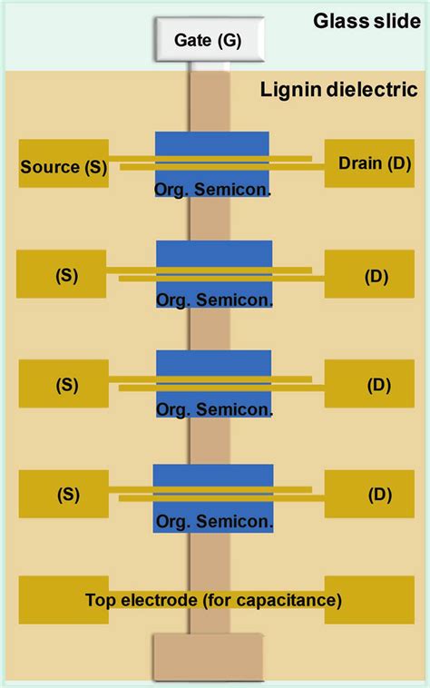 Schematic Of The Mask Design Employed For Transistors Fabrication The Download Scientific
