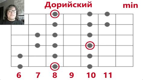 Диатонические Лады на ГИТАРЕ для начинающих Очень легко и быстро Youtube