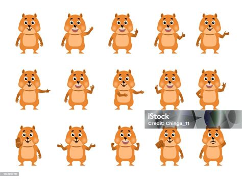 다양 한 손 제스처를 보여주는 만화 햄스터 캐릭터의 집합입니다 재미 있는 햄스터 포인팅 인사말 흔들며 엄지손가락 위로 승리 정지 기호 및 기타 손 제스처를 표시 햄스터에