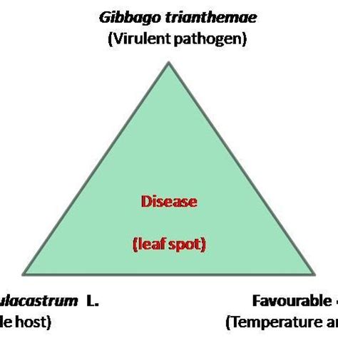 Diagrammatic Representation Of Host Pathogen Interaction Download Scientific Diagram