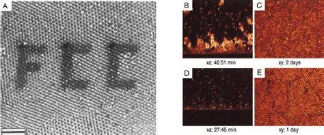 A Scanning Electron Micrograph And Model Of An Ab2 Superlattice Of