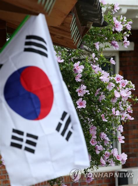 국내 최고령 무궁화 활짝…늠름한 기상 뽐내 연합뉴스