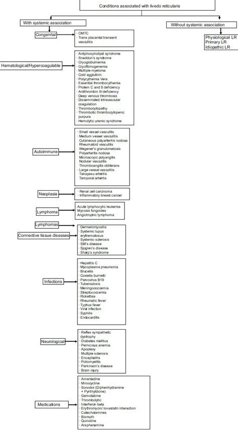 Livedo Reticularis Definition Causes Types Diagnosis Cure And Images Drugs Details