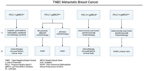 Current Treatment Options Of Metastatic Breast Cancer Encyclopedia Mdpi