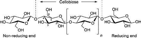 Cellulose Polymer Chain Structure Download Scientific Diagram