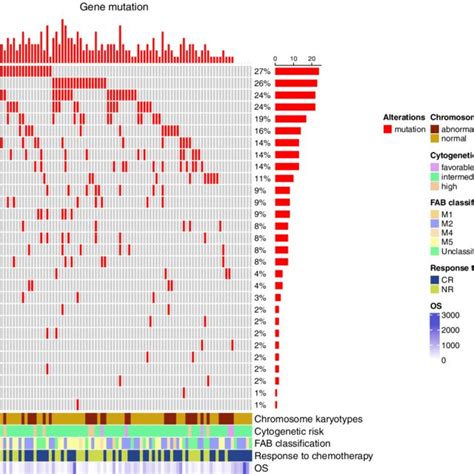Overview Of Gene Mutations Clinical Features And Overall Survival In