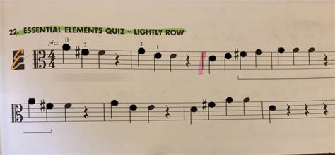 Lightly Row Diagram Quizlet