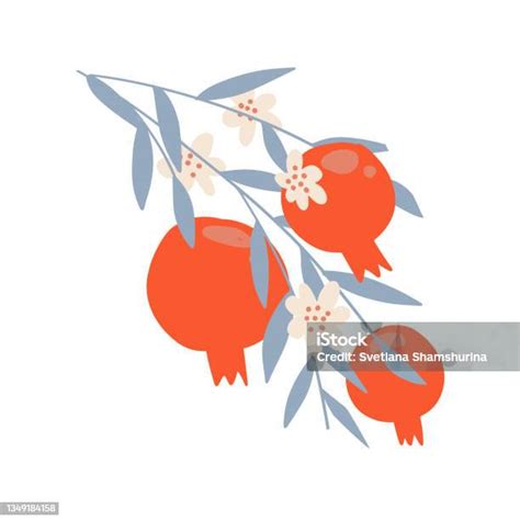 꽃석류 가지 잎과 과일 가넷 아이콘은 건강하고 풍부한 삶의 상징입니다 벡터 그림은 흰색 배경에서 격리됩니다 0명에 대한 스톡 벡터 아트 및 기타 이미지 Istock