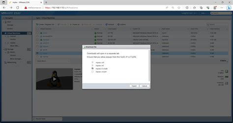Esxi 7 — экспорт и импорт виртуальной машины через Ovf шаблон Internet