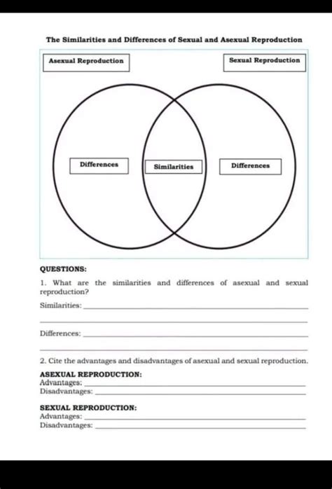 The Similarities And Differences Of Sexual And Asexual Reproduction Asexual Reproduction Sexual