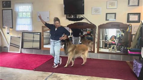 Transition In Segment 1 Youtube