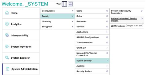Adding Google Social Login Into InterSystems Management Portal