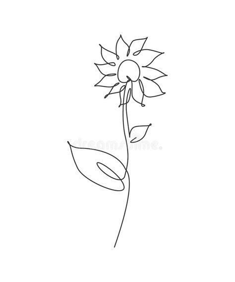 Single Continuous Line Drawing Minimalist Beauty Fresh Sunflower