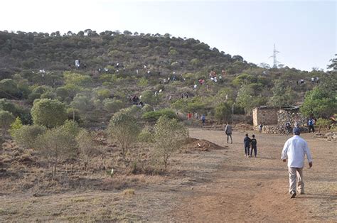 Popular Campaigns In Connection With Martyrs Day Eritrea Ministry Of Information