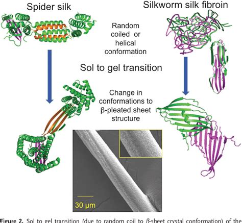 Figure 2 From Silk Based Bioinks For 3d Bioprinting Semantic Scholar