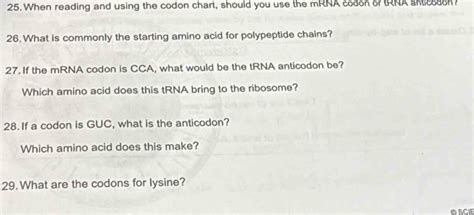 Solved 25 When Reading And Using The Codon Chart Should You Use The Mrna Codon Or Trna