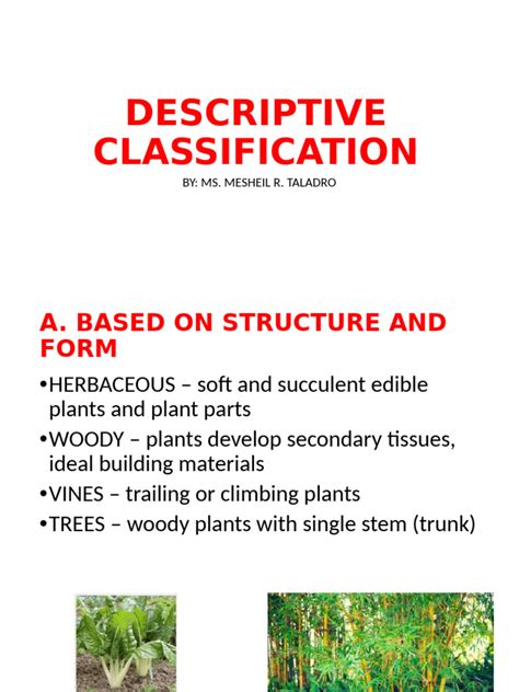 L3 Descriptive Classification Pdf Plants Organisms