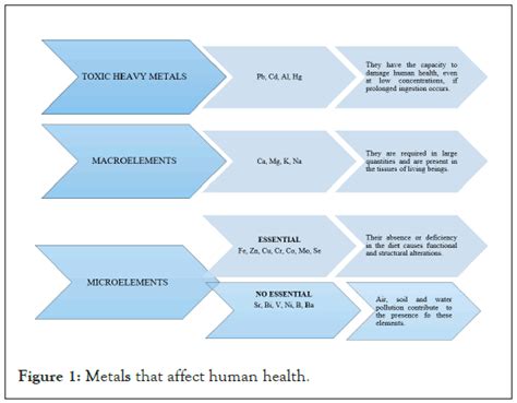 Effect Of Metals On Semen Decline
