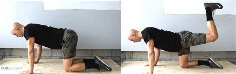 Quadruped Hip Extension
