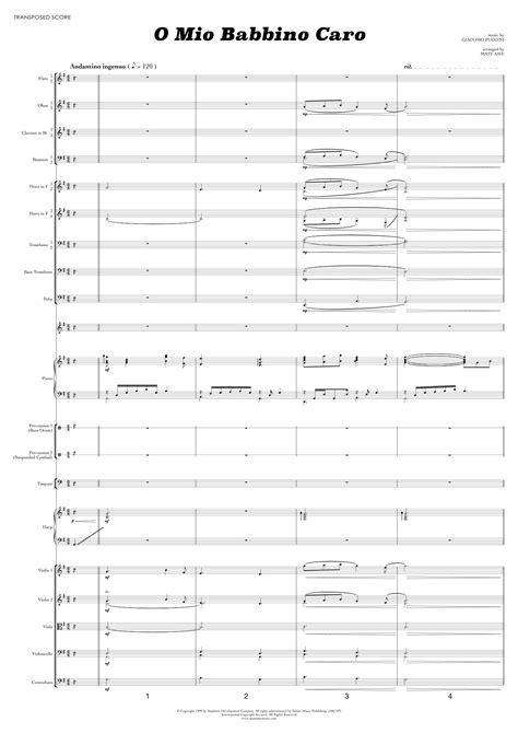 O Mio Babbino Caro Arr Matt Amy By Puccini Sheet Music For Full