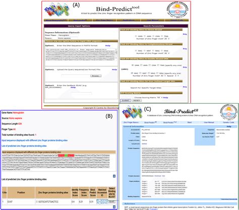Bind Predict Tool Web Interface For Finding Zfp Binding Sites In Double