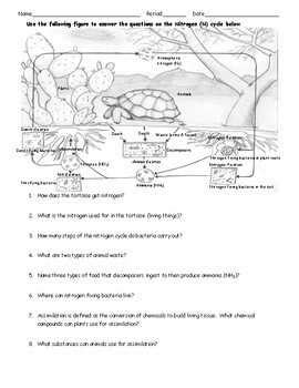 Decoding The Secrets Of Nutrient Cycling In The Serengeti Unlocking The Answer Key