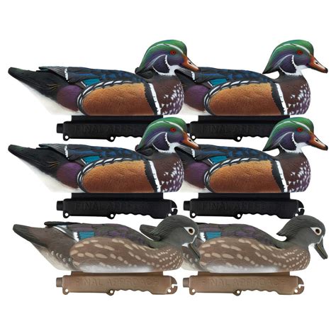 Live Wood Ducks 6 Pack Final Approach Waterfowl