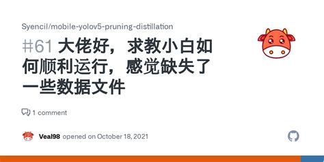 大佬好，求教小白如何顺利运行，感觉缺失了一些数据文件 · Issue 61 · Syencilmobile Yolov5 Pruning