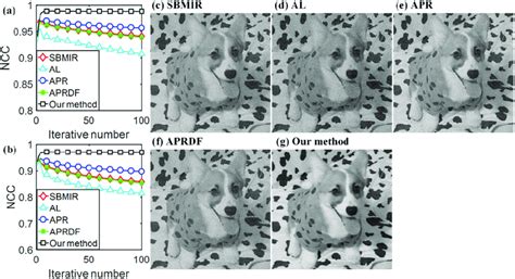 Numerical Simulation With The Addition Of Zero Mean Gaussian Noise
