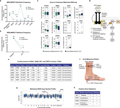 Identification Of Acral Versus Cutaneous Melanoma Genes Related To Fig Download Scientific
