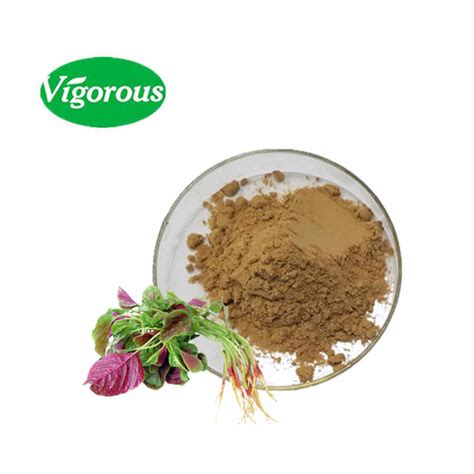 Free Sample Amaranthus Leaf Extract Haccp 10 1 Organic Amaranth Extract