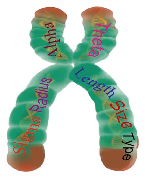 Chromosome Structure For Ga Based Image Enhancement Download