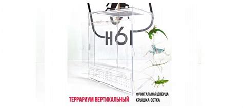 Вертикальный террариум купить в Санкт-Петербурге | Животные и зоотовары ...